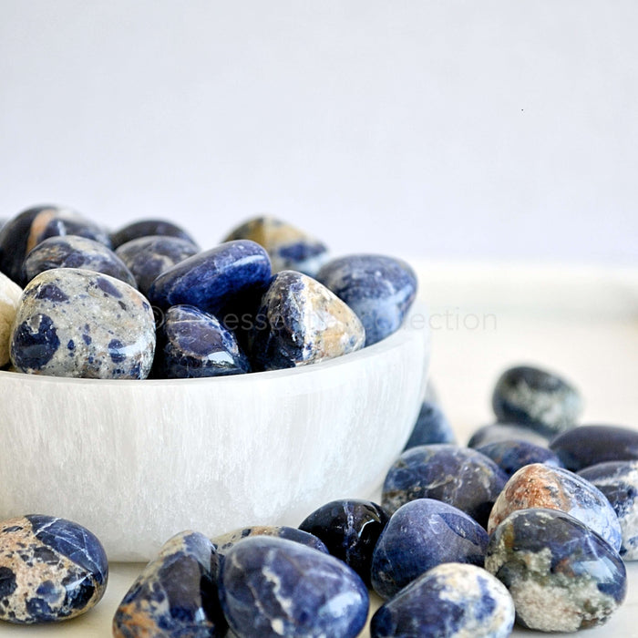 Sodalite Tumbled Crystals – The Essential Collection